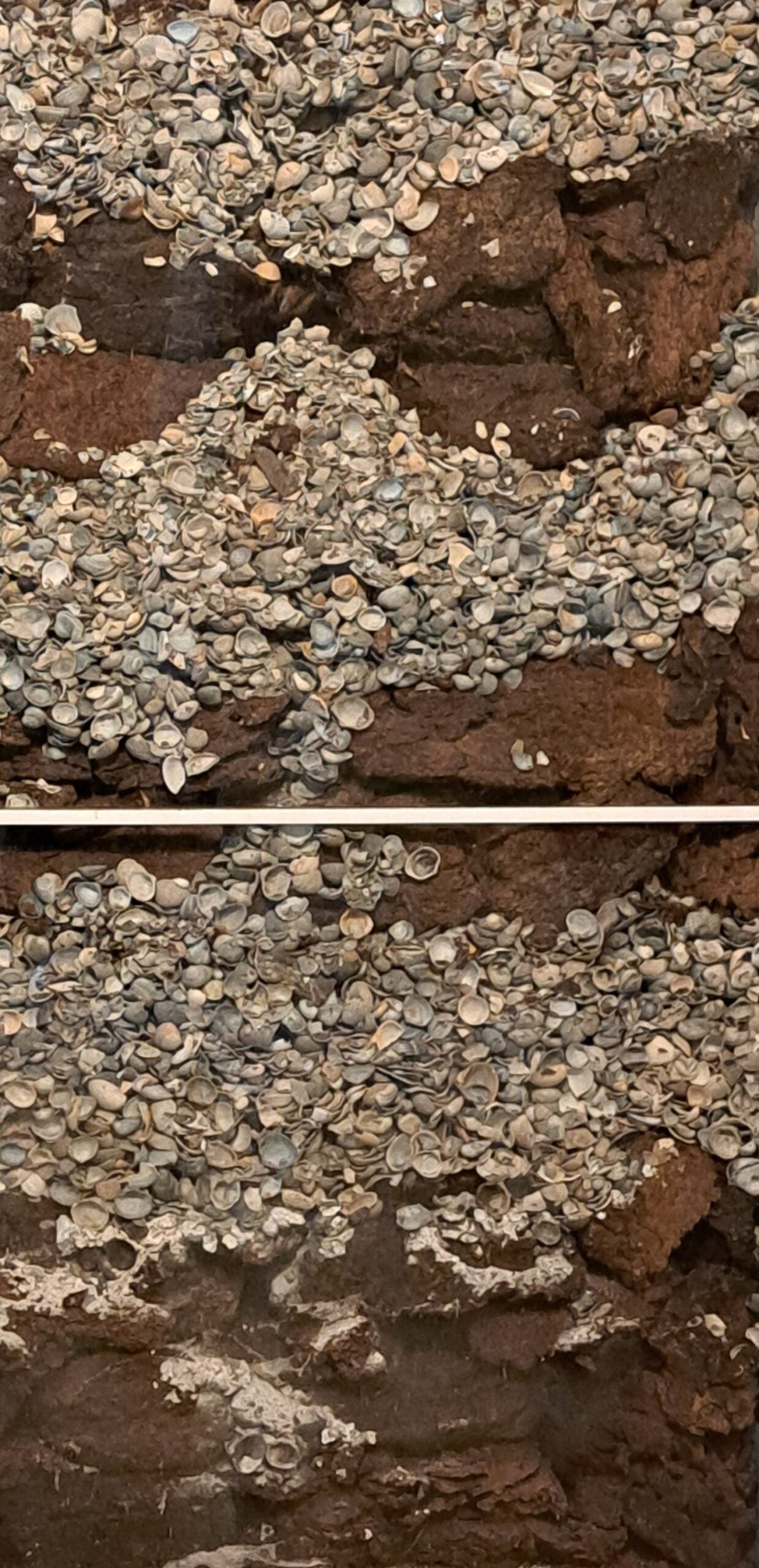 Kalkoven Appingedam - Museum Stad Appingedam